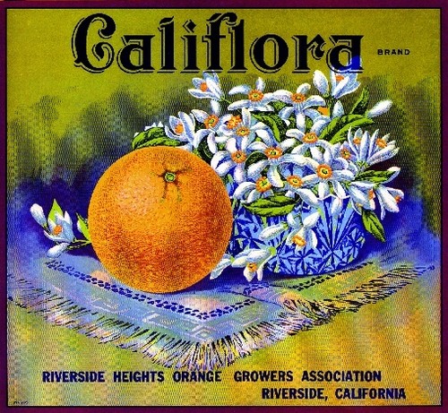 Riverside Califlora Orange Citrus Crate Label Art Print | eBay