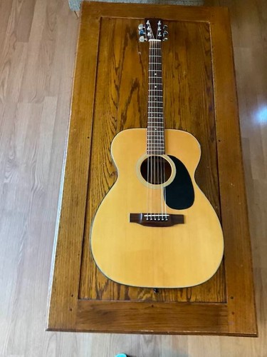 Takamine F307 Vintage Lawsuit Era | eBay