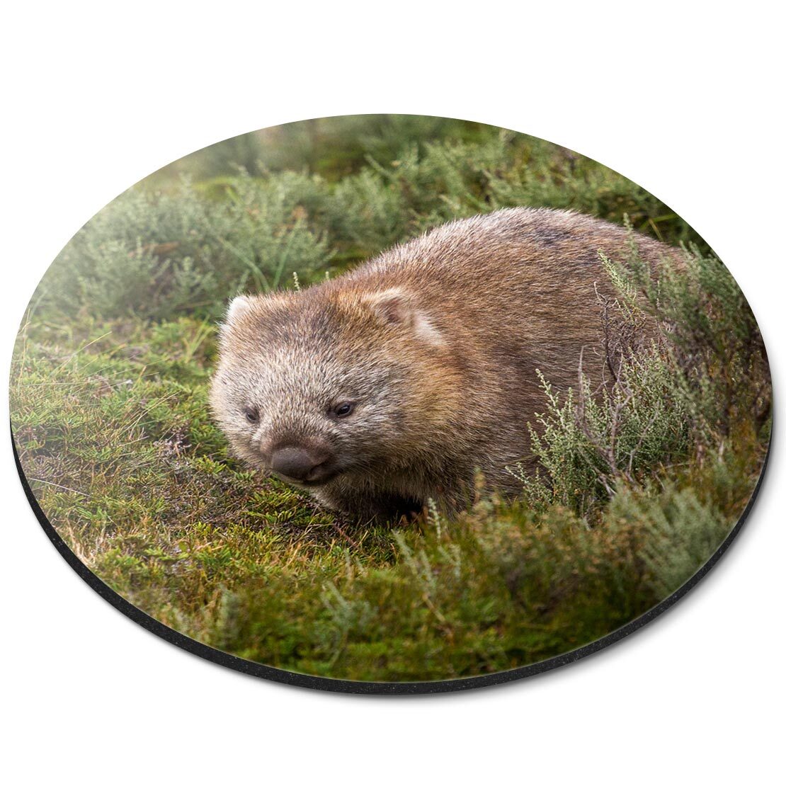 Round Mouse Mat Bare Nosed Wombat Cute Wildlife #50191 | eBay UK