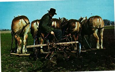 Vintage Postcard- An Amishman plowing with five clydesdales, Kalona, IA ...