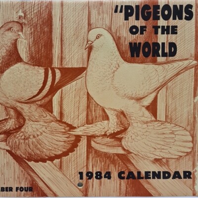 Pigeons Of The World Calendar 1984 Paperback Illustrated by Diane Jacky Issue 4 | eBay