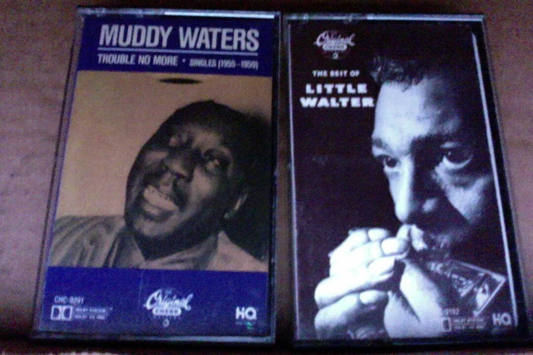 Muddy Waters And Little Walter