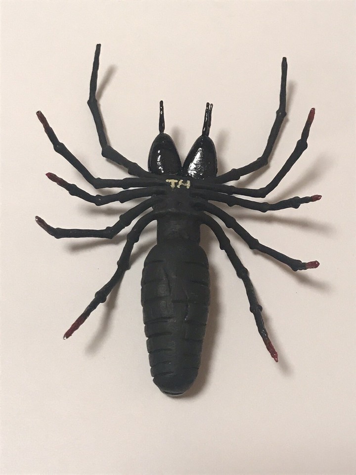 Handmade Hand-painted 4" Black Camel Spider Rhagodes Solifugae Figurine ...