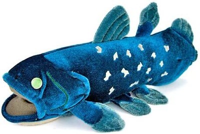 Colorata Coelacanth Plush Ancient Fish Small Size 4.3 X 4.1 Inches (11 x 10 | eBay UK