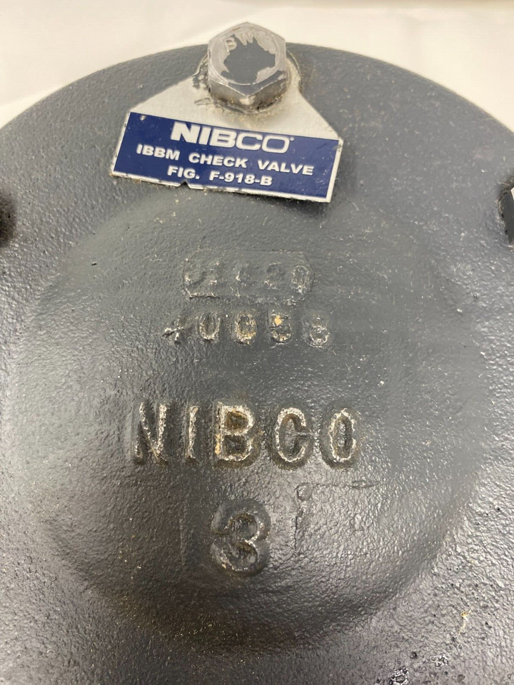 NIBCO NHE30JF F-918-B IBBM Cast Iron Swing Check Valve 3" 125SWP 200WOG ...