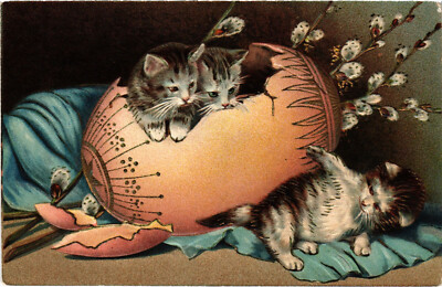 PC CATS, 3 CATS PLAYING WITH AN EGG, EASTER, Vintage EMBOSSED Postcard ...