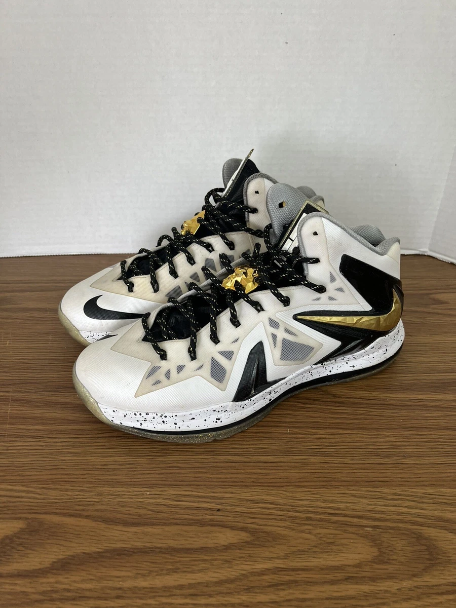 Lebron 10 Elite X Customized