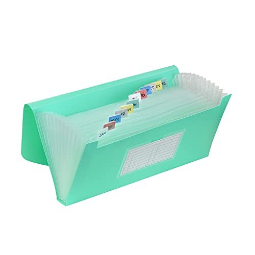 13-Pocket Poly Expanding File, 10 x 5 Inches, Junior Size for Receipts ...