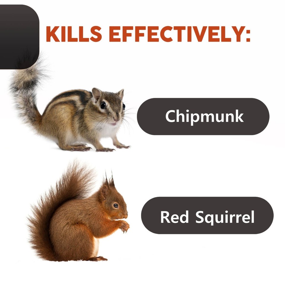 Squirrel Traps Outdoor - Squirrel Traps - Ouell Traps - Trap for ...