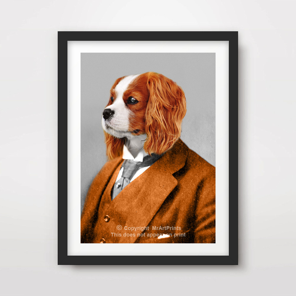 Laughing Cavalier Memes Funny Cavalier King Charles Dog Tongue Out