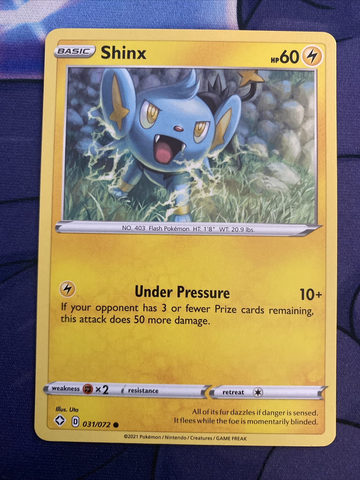 Pokémon TCG Shining Fates Shinx 031/072 | eBay