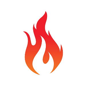 Combustion Experts | eBay Stores