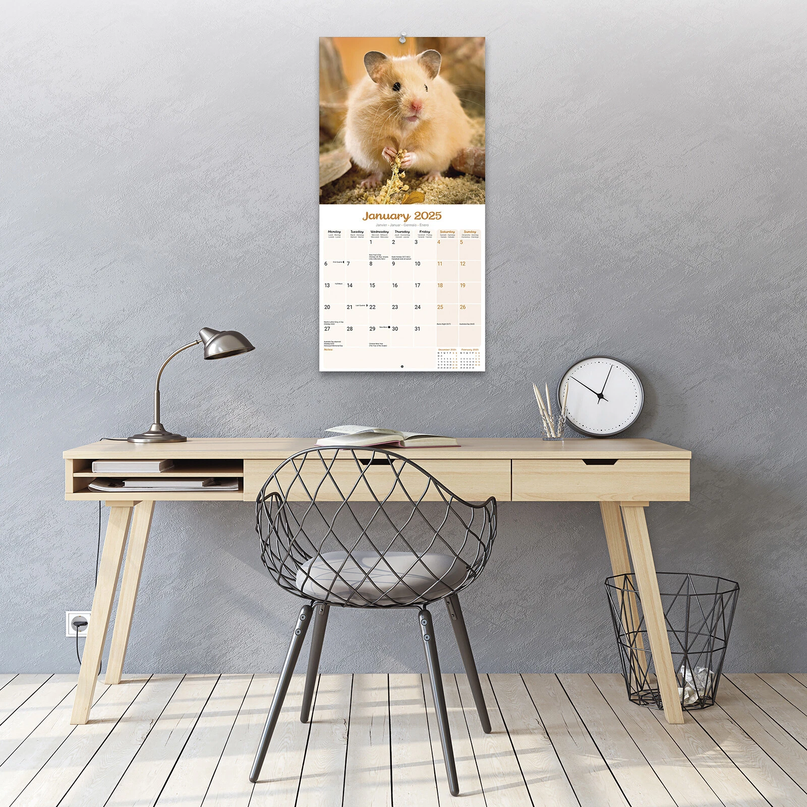 Hamsters Calendar 2025 Gift Wall Calendar 15% OFF MULTI ORDERS | ID ...