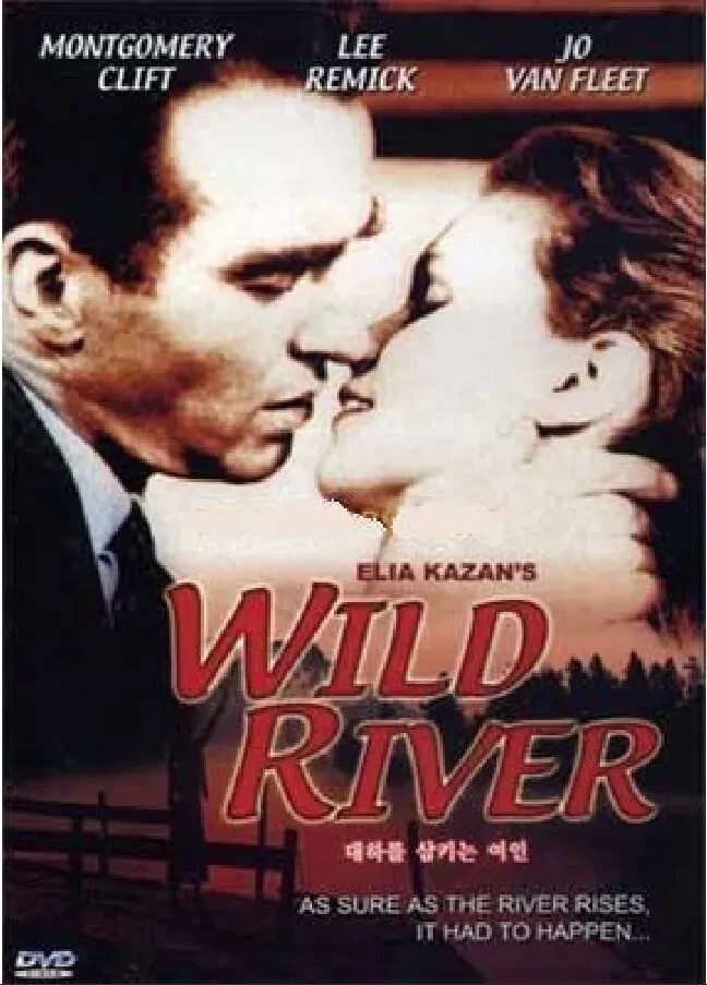 Wild River / 1960 Montgomery Clift, Lee Remick [DVD] | eBay