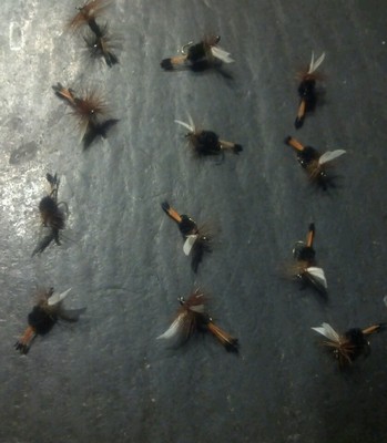 12 RIO GRANDE KING PREMIUM LIGAS FLY FISHING FLIES SIZE 20 | eBay