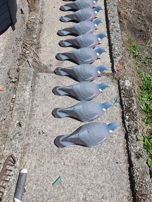 12 pigeon decoys hand painted enforcer spring sticks | eBay UK
