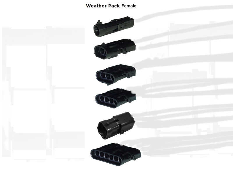 Delphi Weather Pack Connector Kit Sealed Seals Terminals Pigtails Male ...