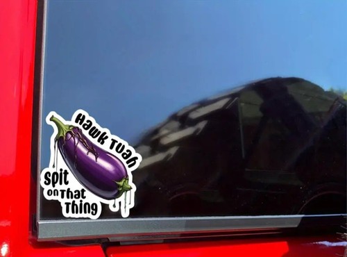 Hawk Tuah spit on that thing! Tik Tok FUNNY Car Sticker Decal Eggplant ...