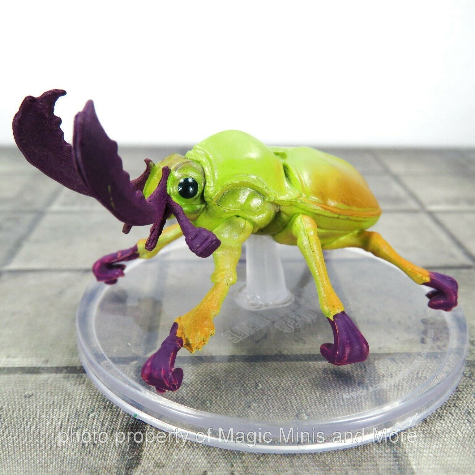 Darklands Rising ~ GIANT STAG BEETLE #30 Pathfinder Battles miniature ...