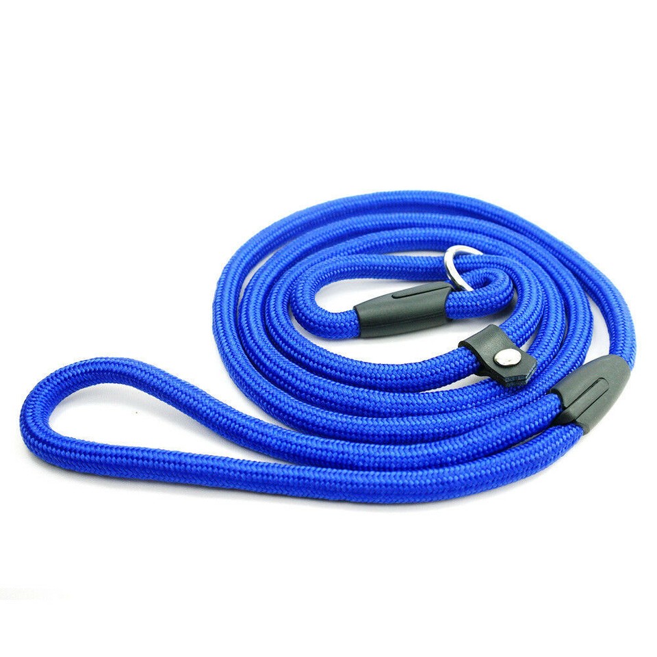 Durable Nylon Slip Lead Dog Leash Adjustable Pet Puppy Training Collar ...