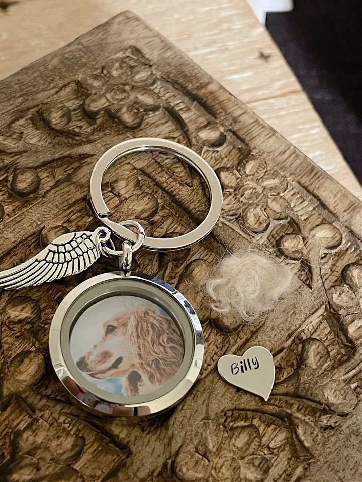 Pet Memorial Keyring, Pet Hair Keepsake, Memorial Jewelry, Pet Fur ...