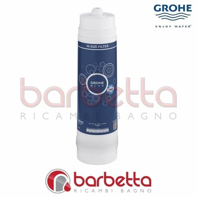 FILTRO ACQUA BWT TAGLIA M 1500 LITRI GROHE BLUE 40430001 | eBay