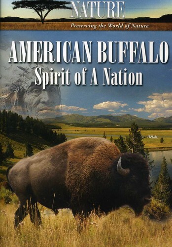 Nature: American Buffalo Spirit of a Nation (DVD) for sale online | eBay