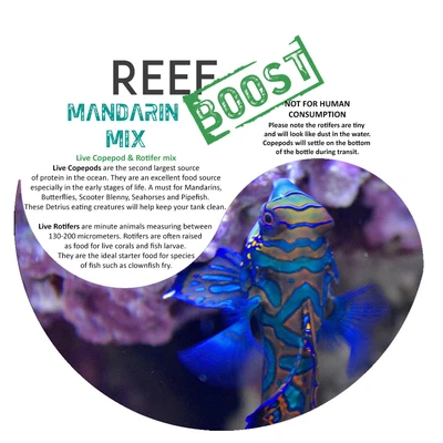 ReefBoost Copepod Starter Kit 250ml Live | Grelly UK