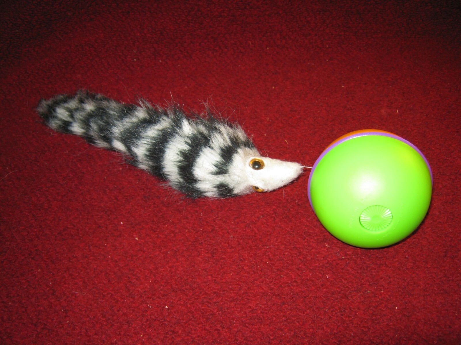 Weasel Ball Pet Toy for Dogs/ Cats in Original Box with Extras | eBay