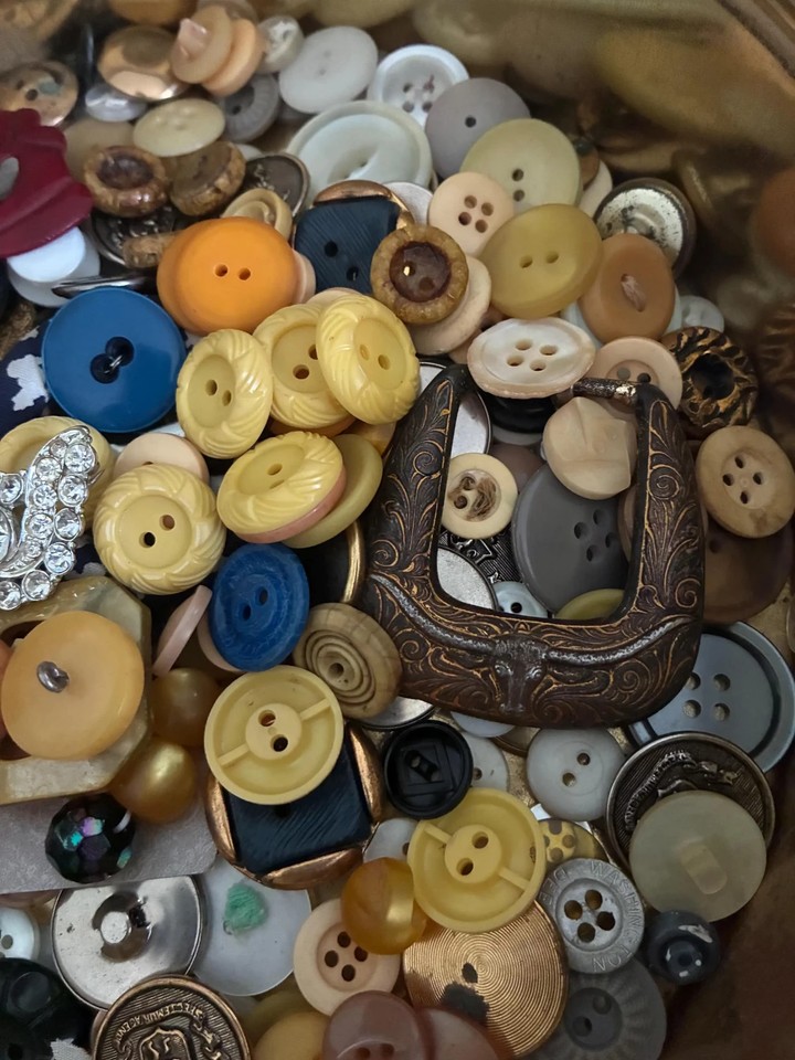 Antique Button & Buckles Lot ~ Vintage Buttons ~ Celluloid Plastics ...
