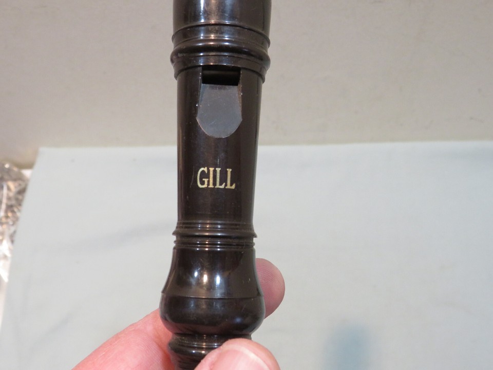 Gill Recorder Plastic Musical Instrument | eBay