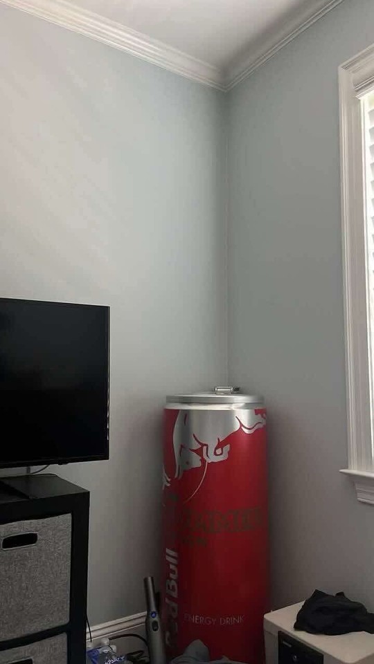 Red Bull Cooler: Limited Edition 2020 Summer Wrap (Freezer Or Fridge ...