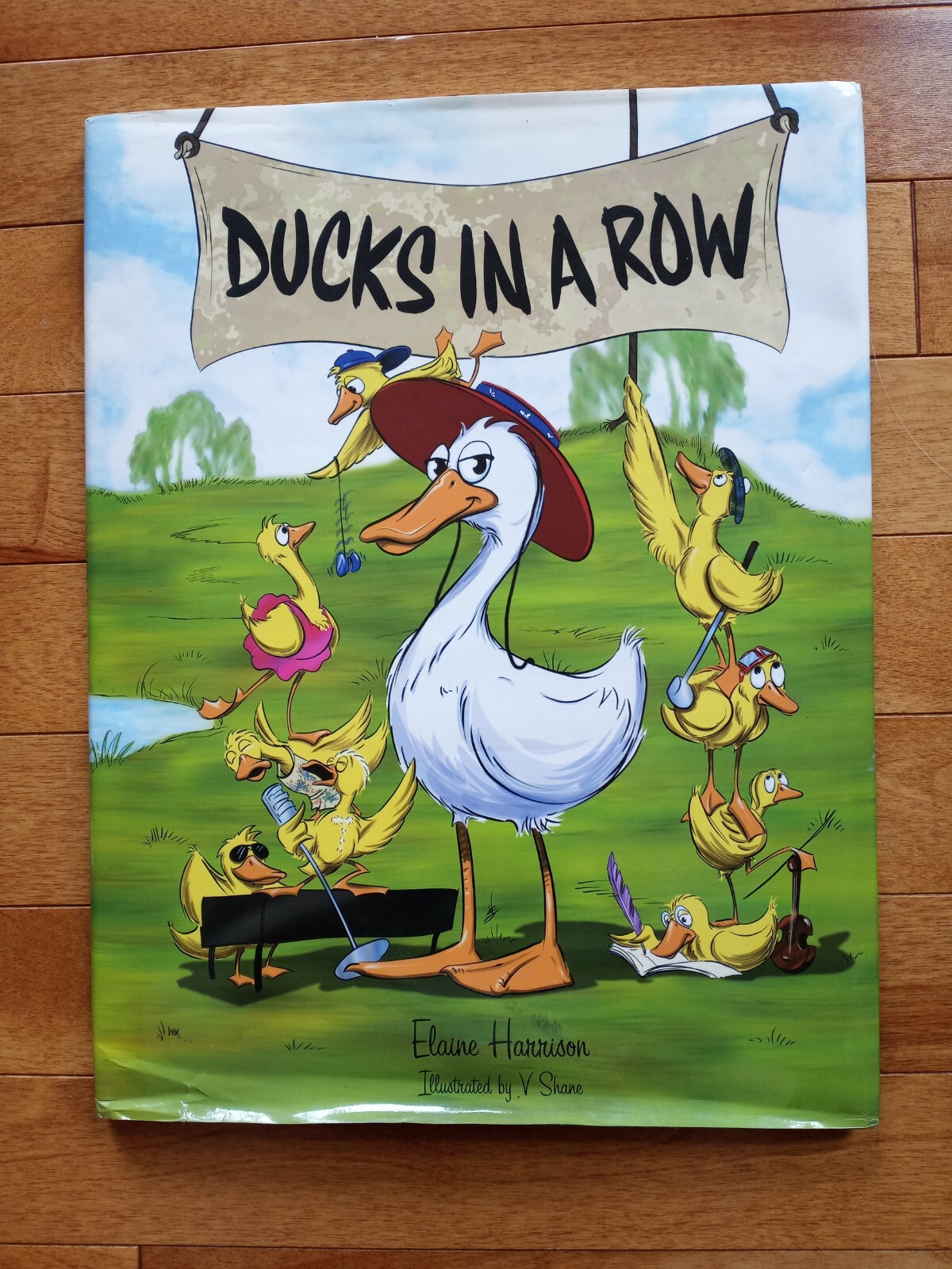 Ducks in a Row Hardcover – 2011 by Elaine Harrison (Author), V Shane ...