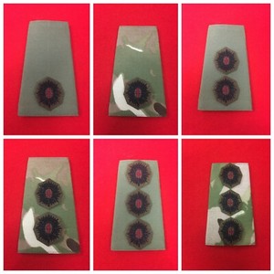 Multicam Life Guards Combat Rank Slides 2nd Lieutenant Captain MTP ...