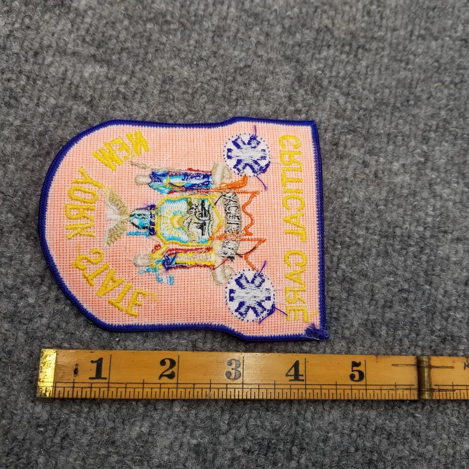 New York State Critical Care Patch C4, | eBay