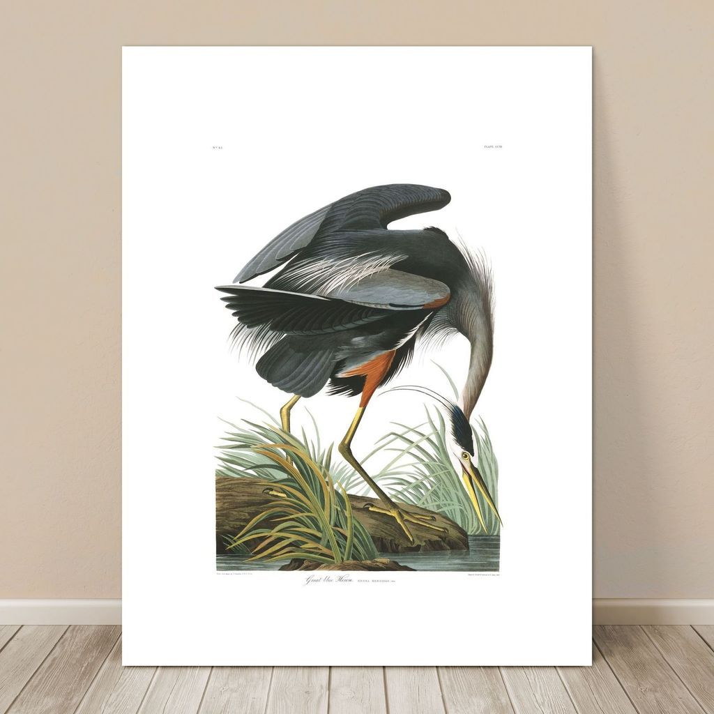 Bird Paintings By Famous Artists