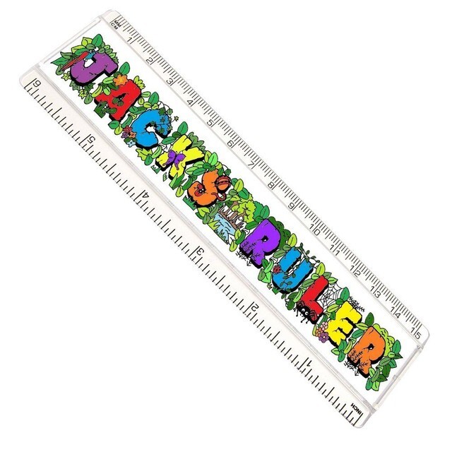 2 x 6 inch plastic ruler White ruler with clear acrylic insert | eBay UK