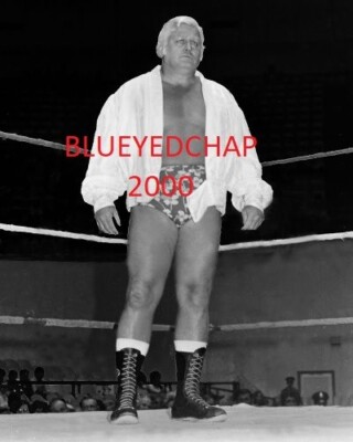 RIP HAWK WRESTLER 8 X 10 WRESTLING PHOTO NWA | eBay