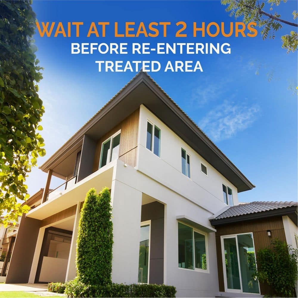 Bug Bomb Indoor Pest Control Fogger–Roaches, Spiders, Flies & Fleas ...