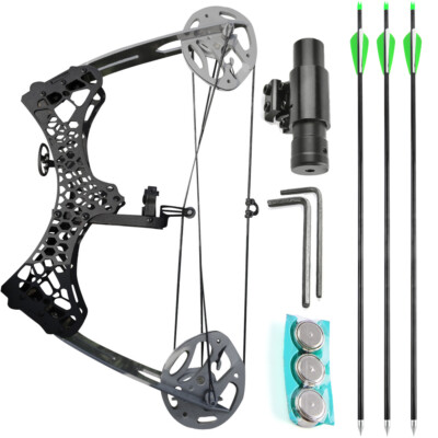 Mini Compound Bow 35lbs Triangle Bow Set Arrows Fishing Archery Hunting ...