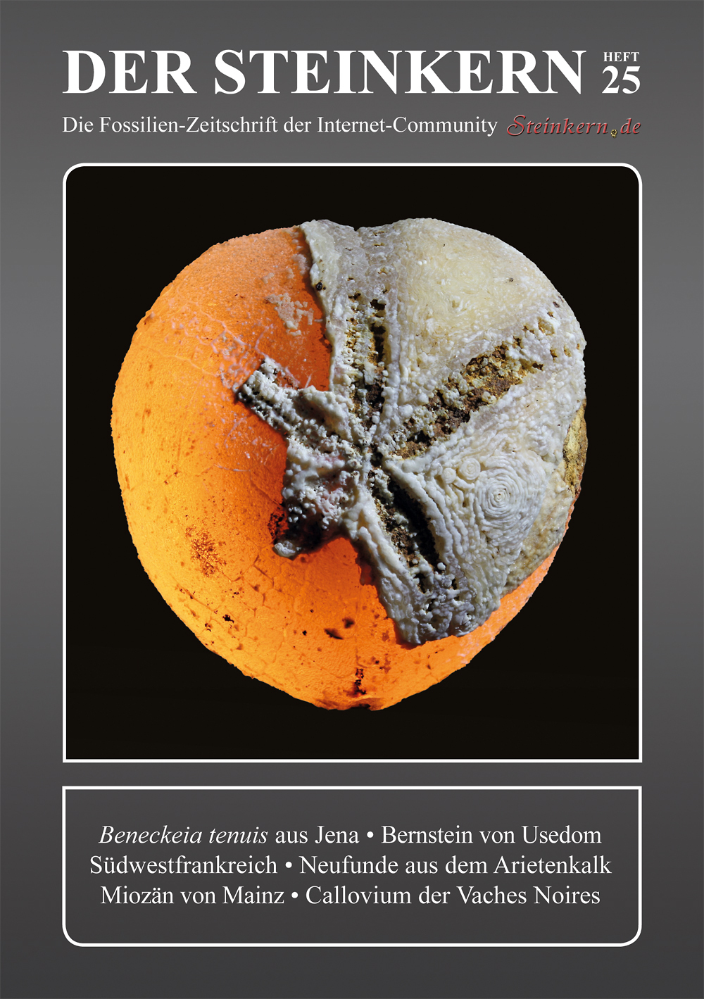 DER STEINKERN 25: Mainzer Miozän - Usedom - Arietenkalk - Frankreich ...