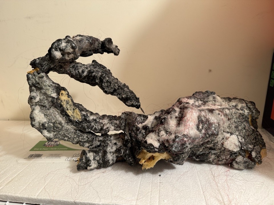 The Thing 2011 Screen Used Prop Horror Movie Claws Frozen Burn | eBay