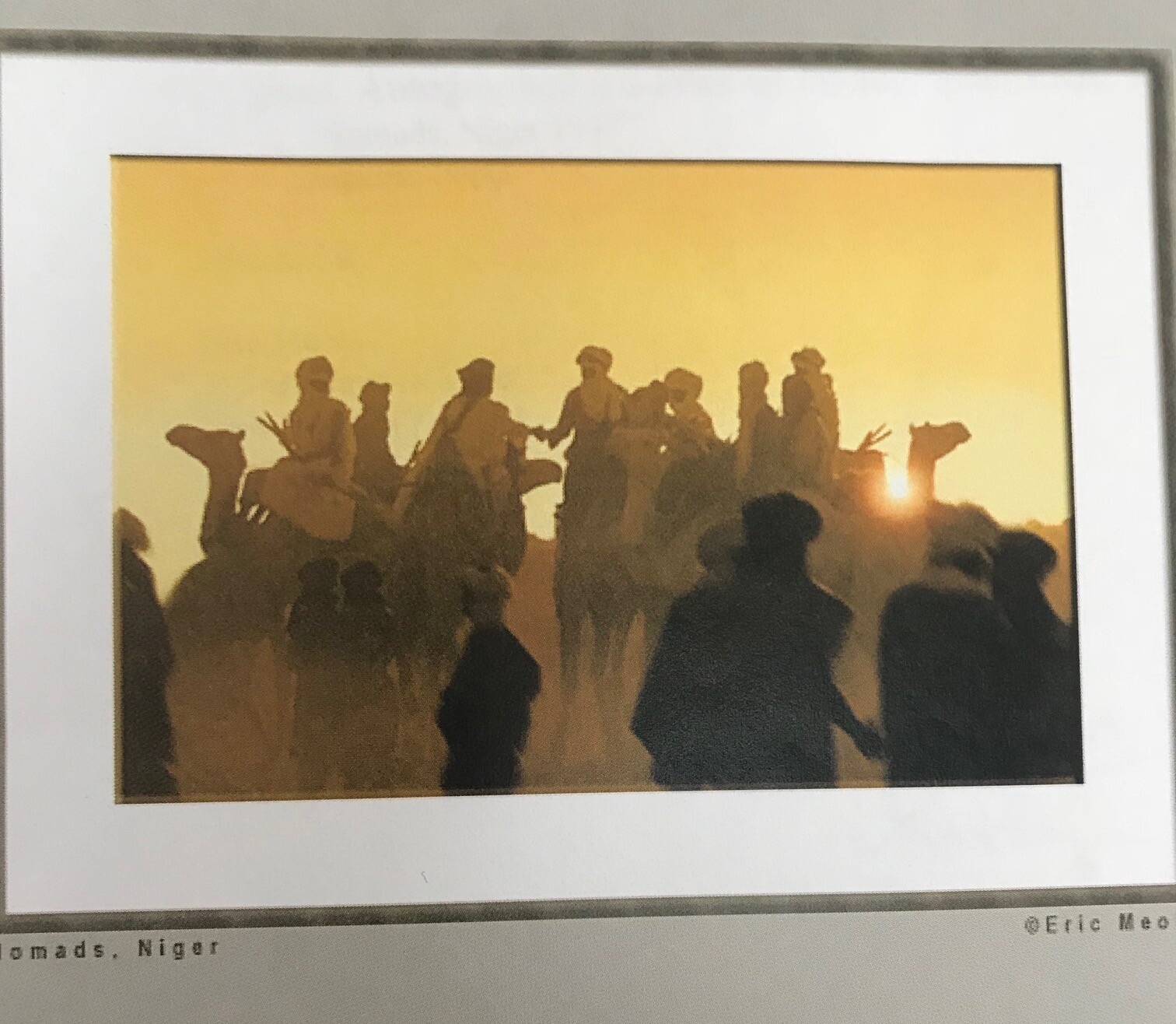Original Autographed Iris Print by Photographer Eric Meola "Nomads ...