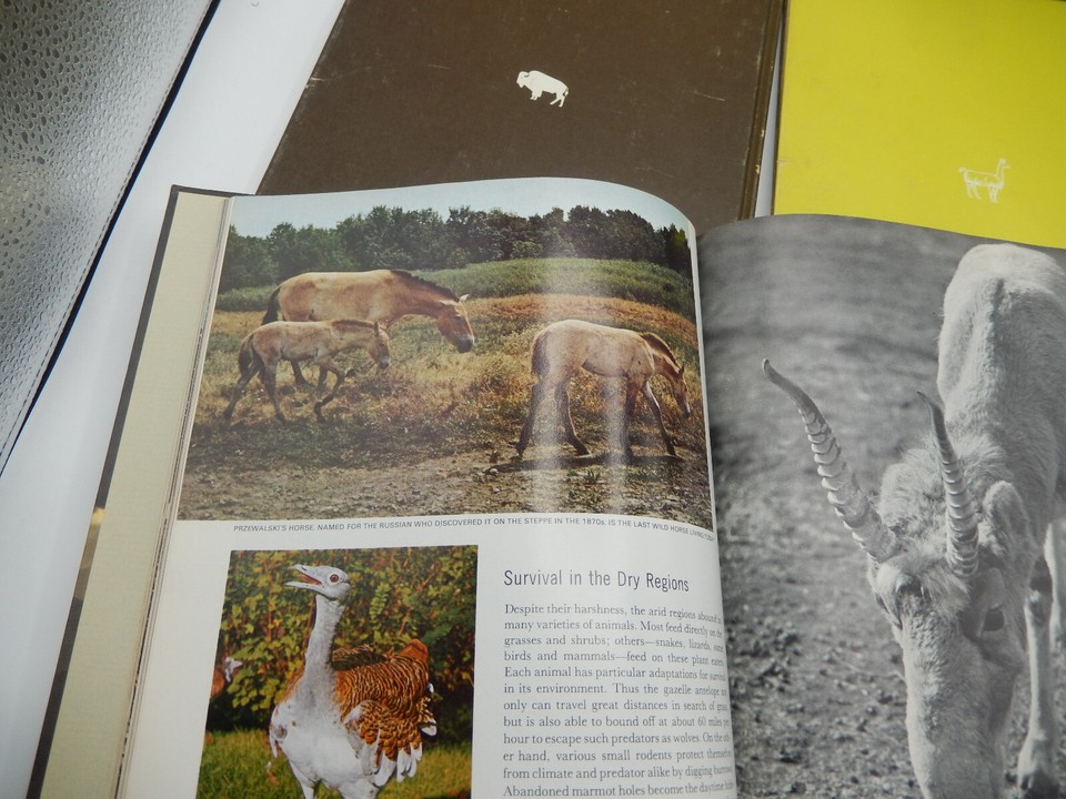 Set of 6 Life Nature Library Books 1970s Australia Eurasia Africa ...