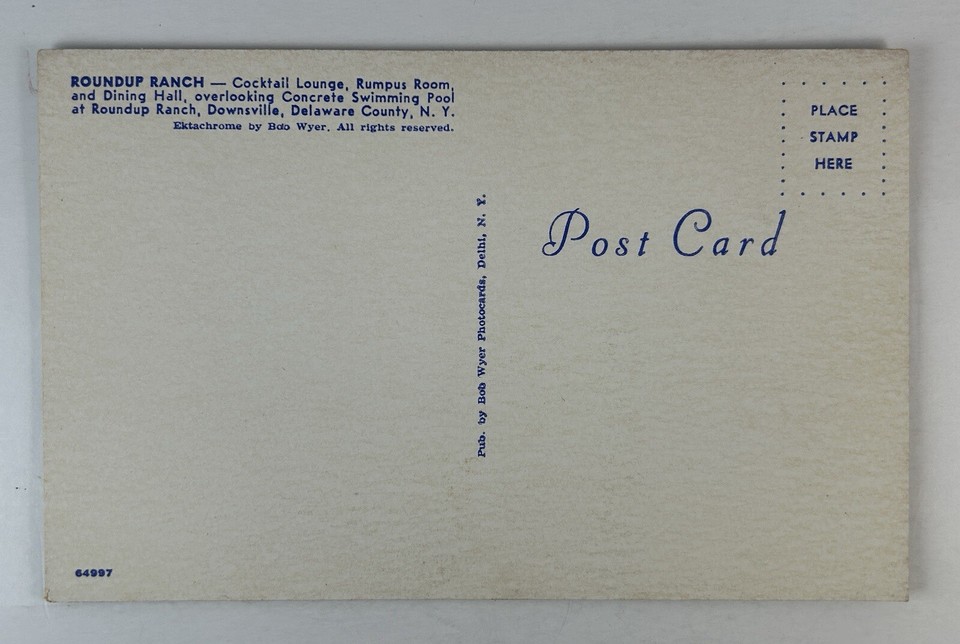 Downsville NY Roundup Ranch Rumpus Room Overlooking Swimming Pool ...