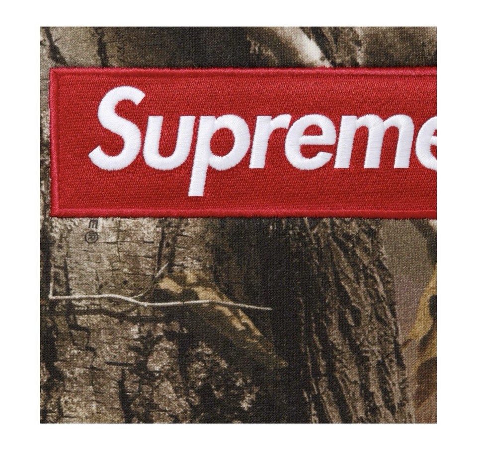 Supreme Box Logo Hooded Sweatshirt (FW25) Realtree AP Camo - Size L ...