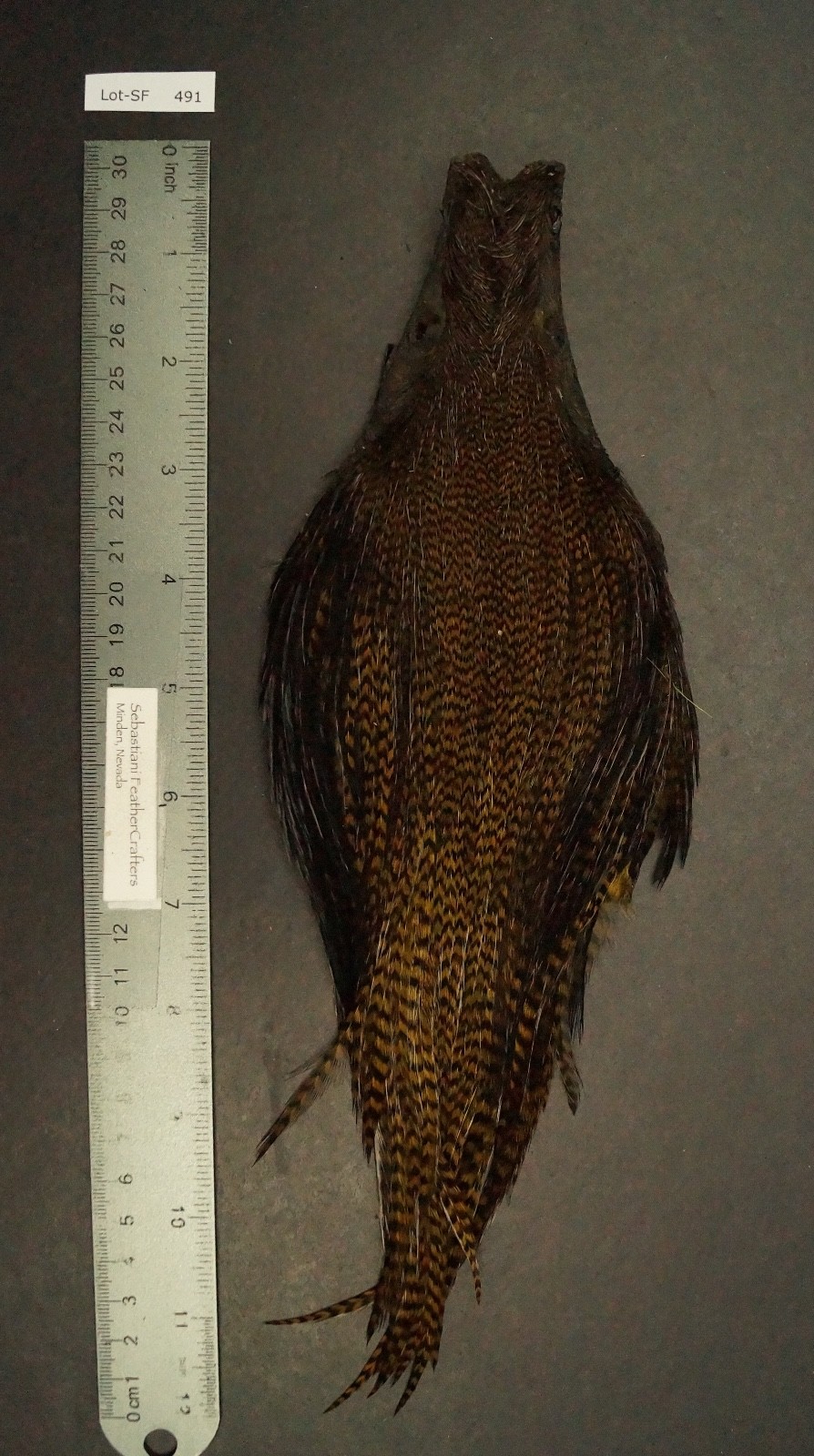 Commercial Keough Dyed Brown Olive Grizzly Neck Lot-SF 491 | eBay