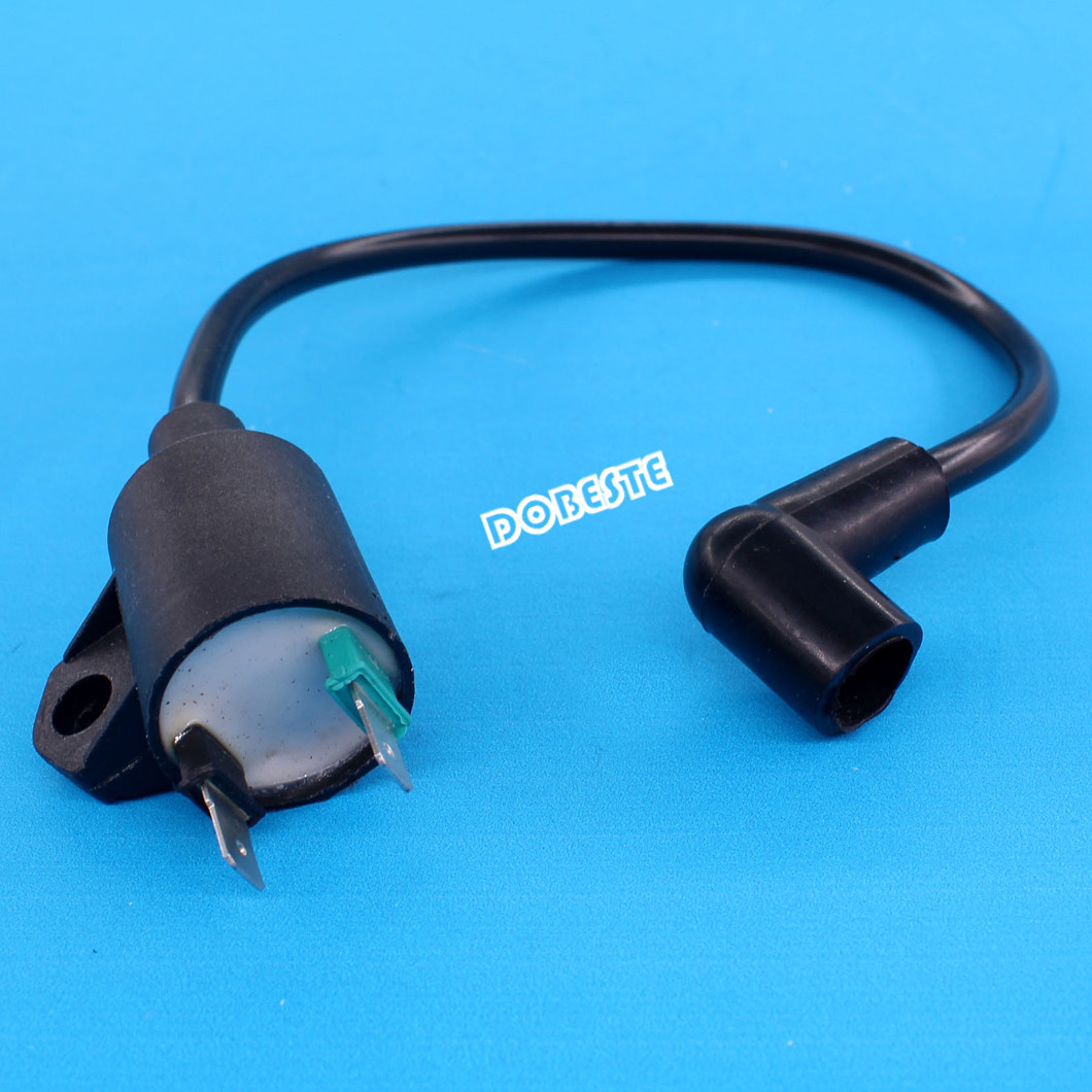 Ignition Coil For ETQ 950 IN1000i TG1200 900 1000 1200 Watts 63 63.1CC ...