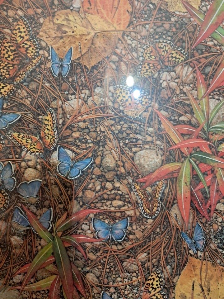 Spirit Takes Flight Limited Edition Print By Bev Doolittle. | eBay