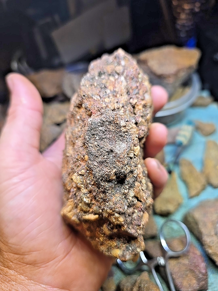 meteorite Primitive Achondrite Weight 512 Grams. Beautiful!! semi ...
